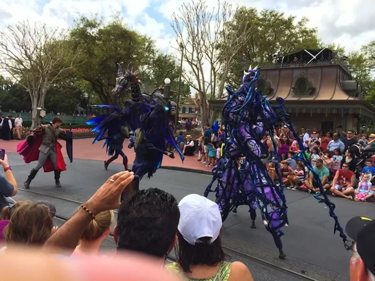 20 fairy-tale photos from Magic Kingdom's Festival of Fantasy | Orlando ...