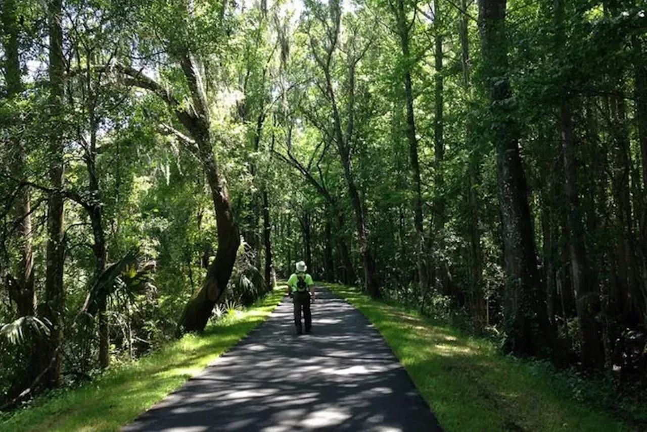 24 beautiful Florida hiking trails that you have to explore | Orlando ...