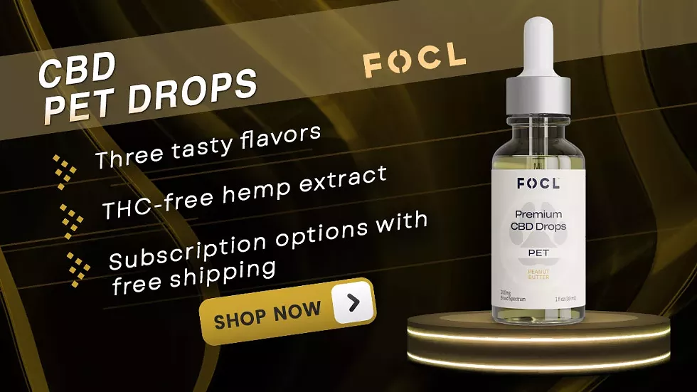 Best CBD Oil for Dogs to Relieve Anxiety and Improve Your Dog’s Health