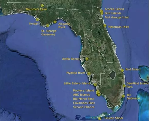 Florida wildlife officials approve an unprecedented 13 new 'Critical ...
