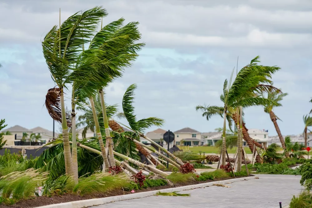 Experts worry Florida's 2024 hurricane season could wipeout recent ...